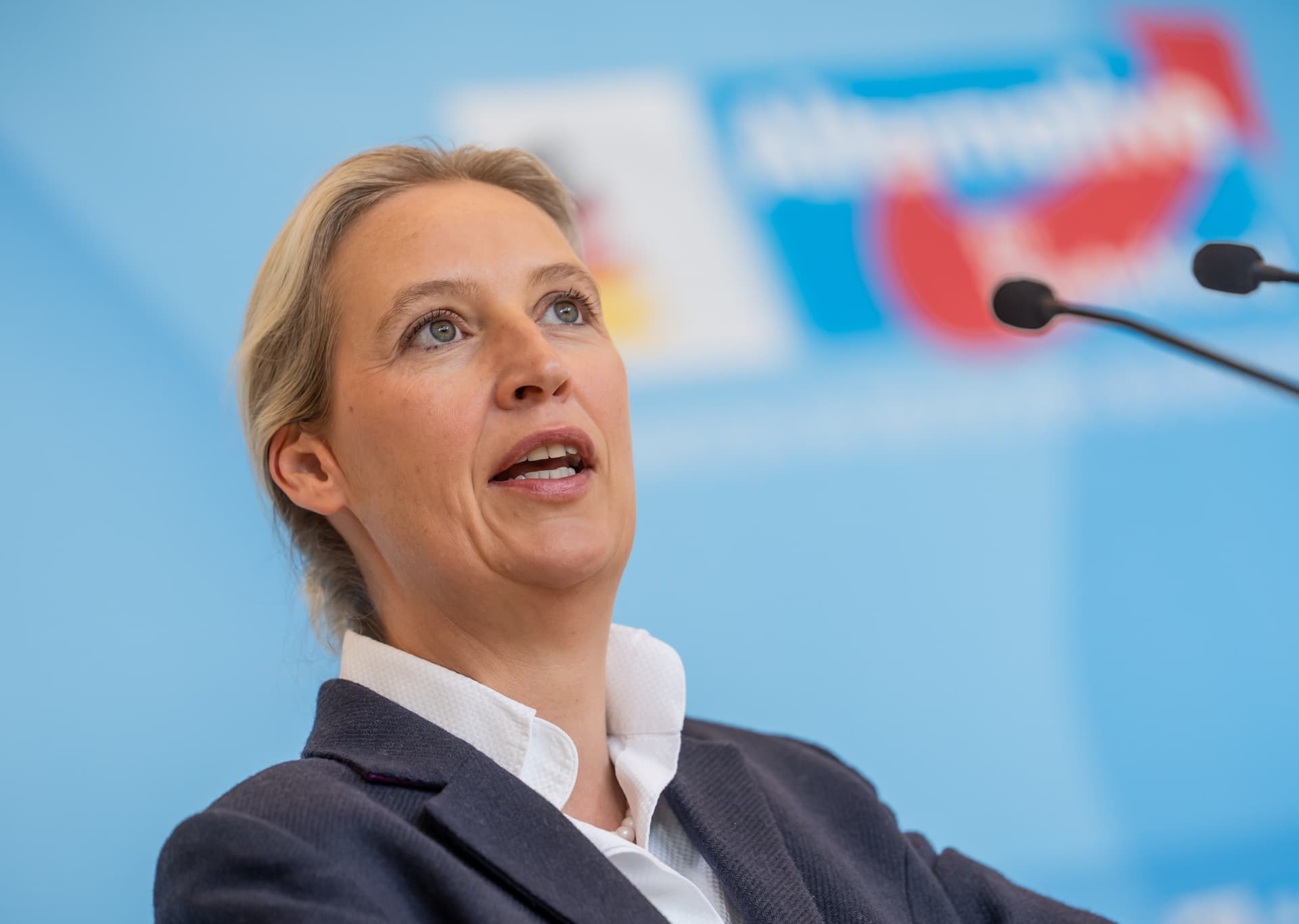 Neue INSA-Umfrage sieht AfD-Chefin bei 33 Prozent! Mehrheit der ...